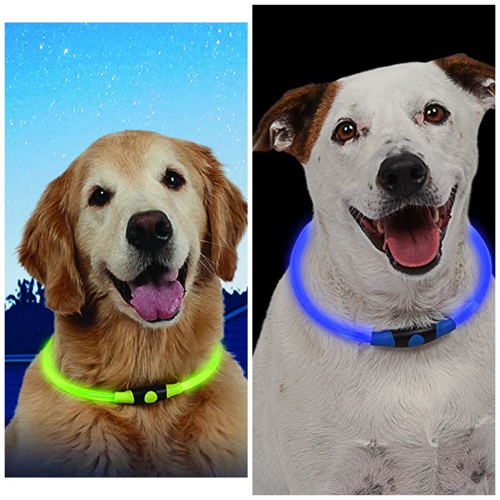 LED light collars – Raining Deals