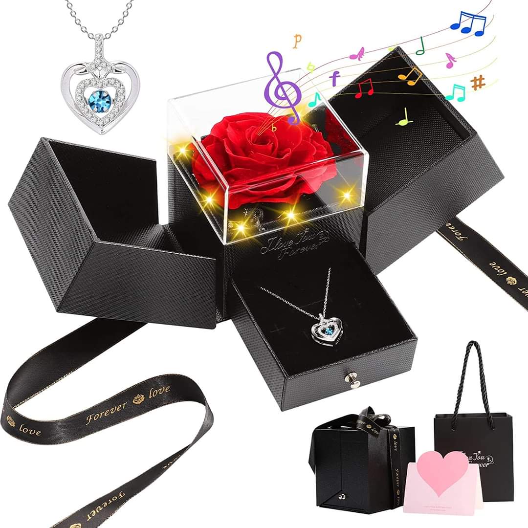 Yowivon Preserved Real Rose Music Box – Raining Deals