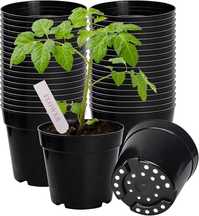 Nursery Pots – Raining Deals