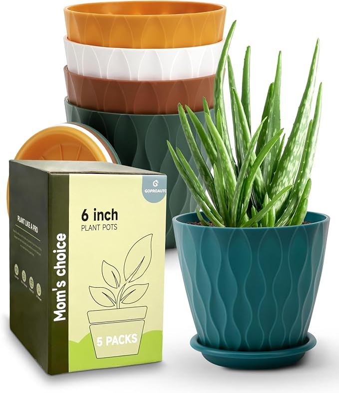 Planter Pots – Raining Deals