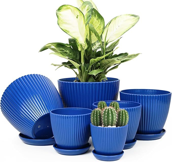 Plant Pots – Raining Deals