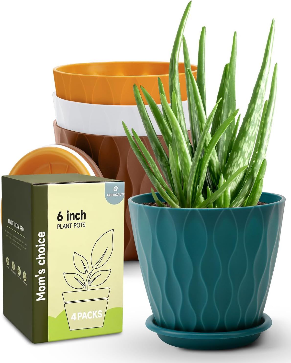 Planter Pots – Raining Deals